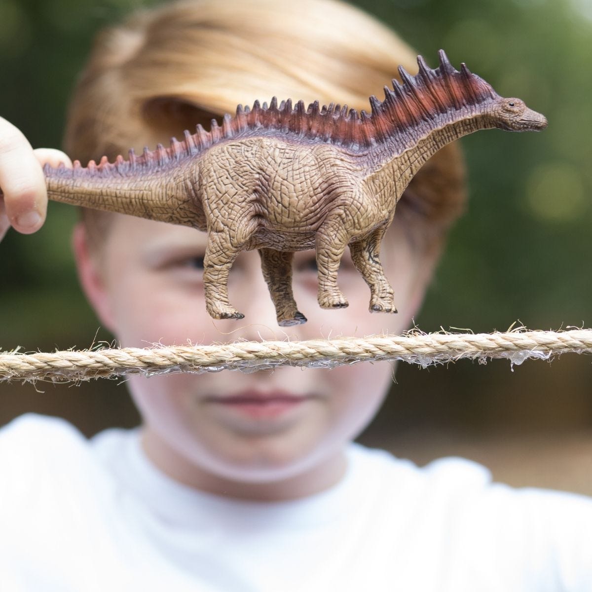 Amargasaurus – Classic Gifts Australia